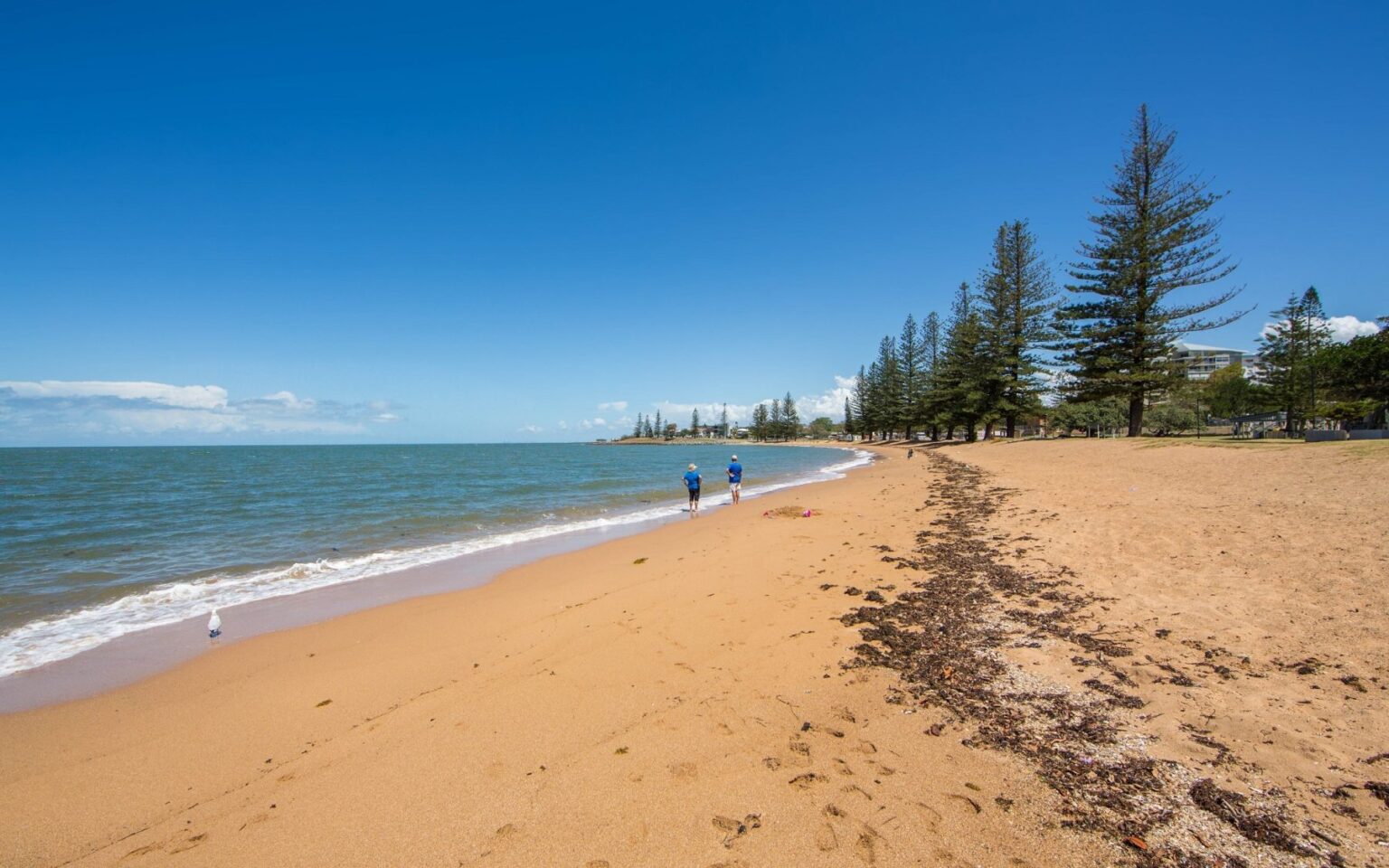 Things to do in Redcliffe – Advanced Aviation Training